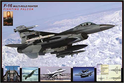F-16 Fighting Falcon Poster | Aircraft Spruce Canada