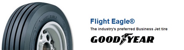 Goodyear Flight Eagle Tire 16X4.4 10Ply 164F03-2 | Aircraft Spruce Canada